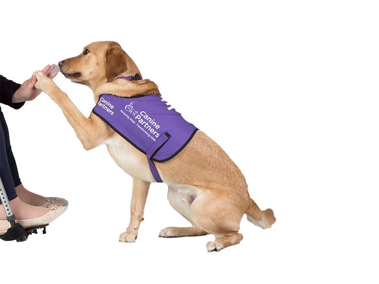 Donate To Canine Partners