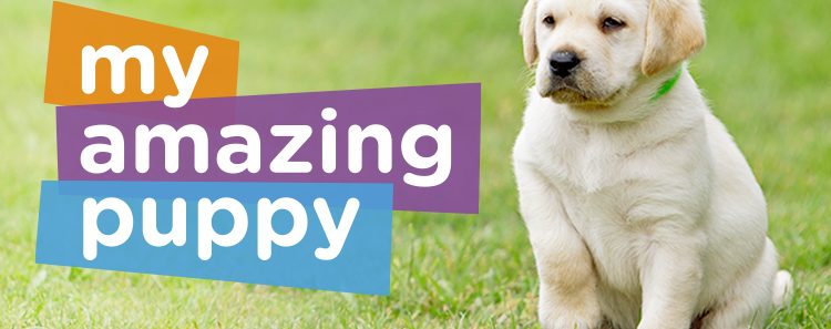 Canine Partners - Amazing Dogs. Transforming Lives.