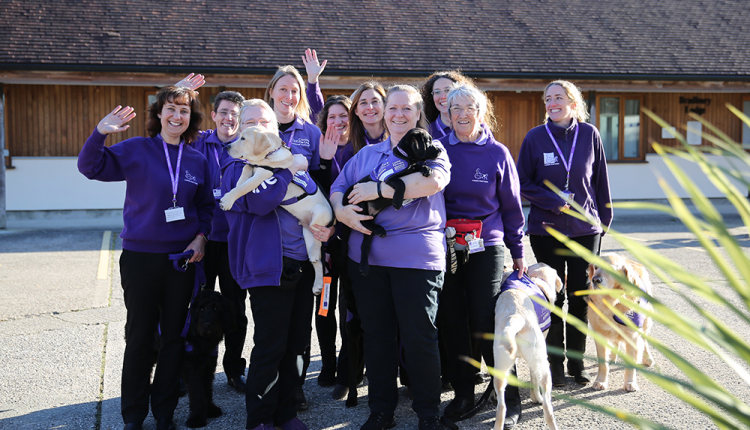 Work For Canine Partners