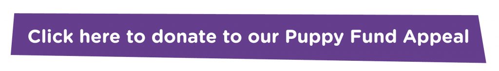 Our Puppy Fund Appeal - Canine Partners