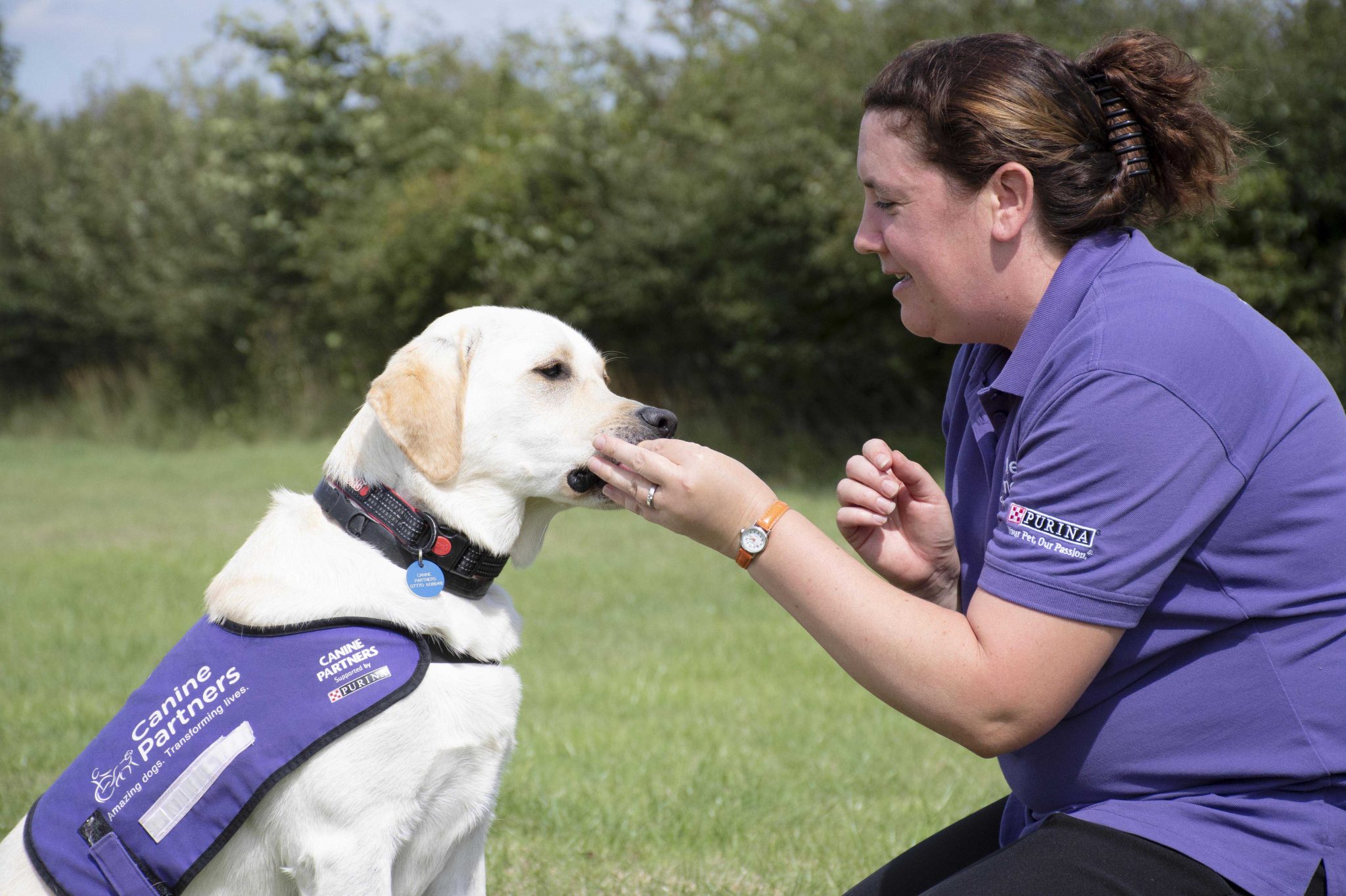 Dog Wellbeing Strategy - Ethical Statement - Canine Partners