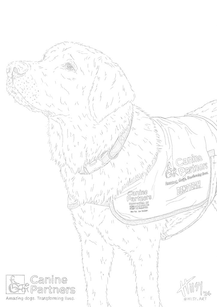 AC_-_Jacketed_Demo_Dog - Canine Partners