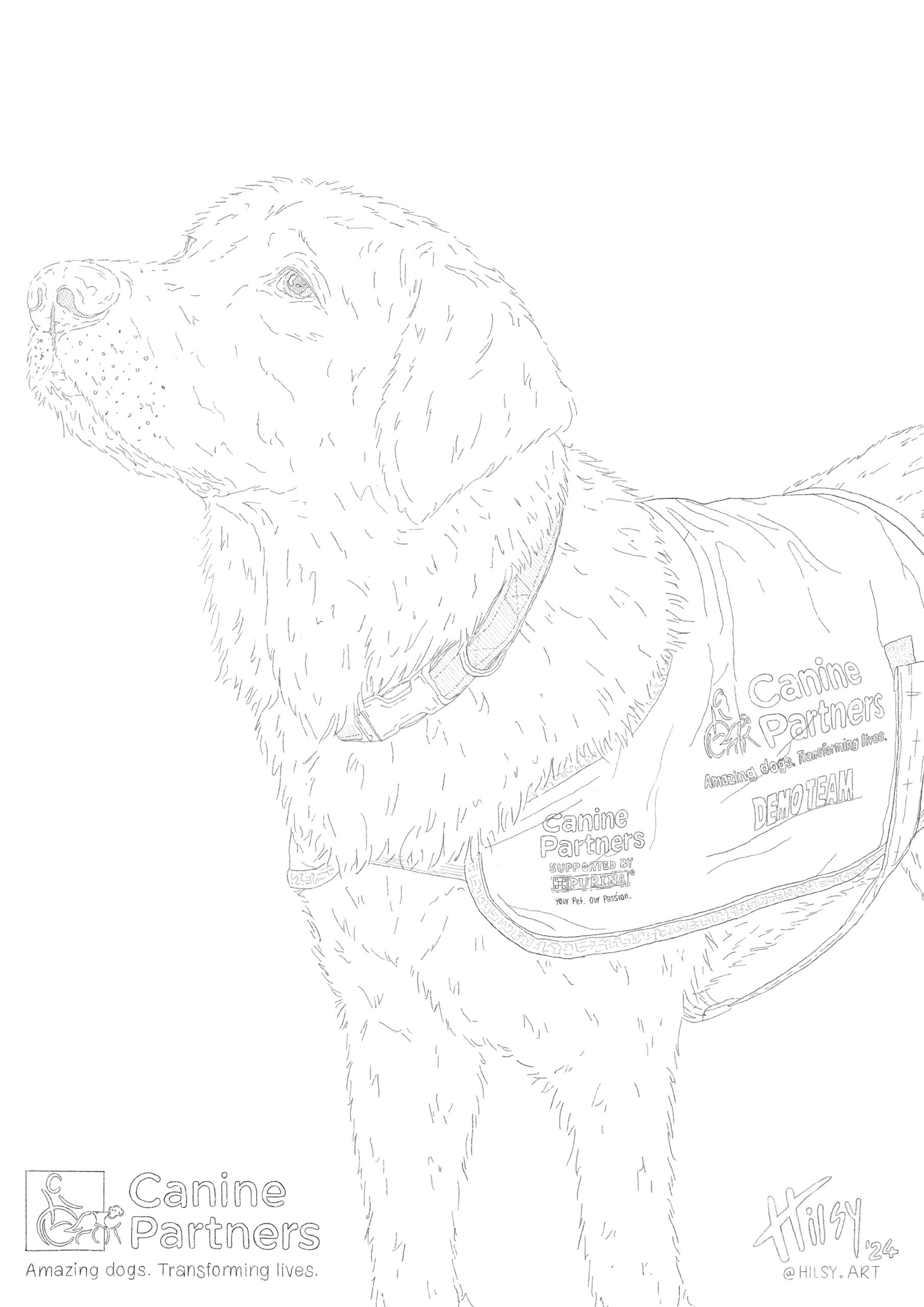 AC_-_Jacketed_Demo_Dog - Canine Partners