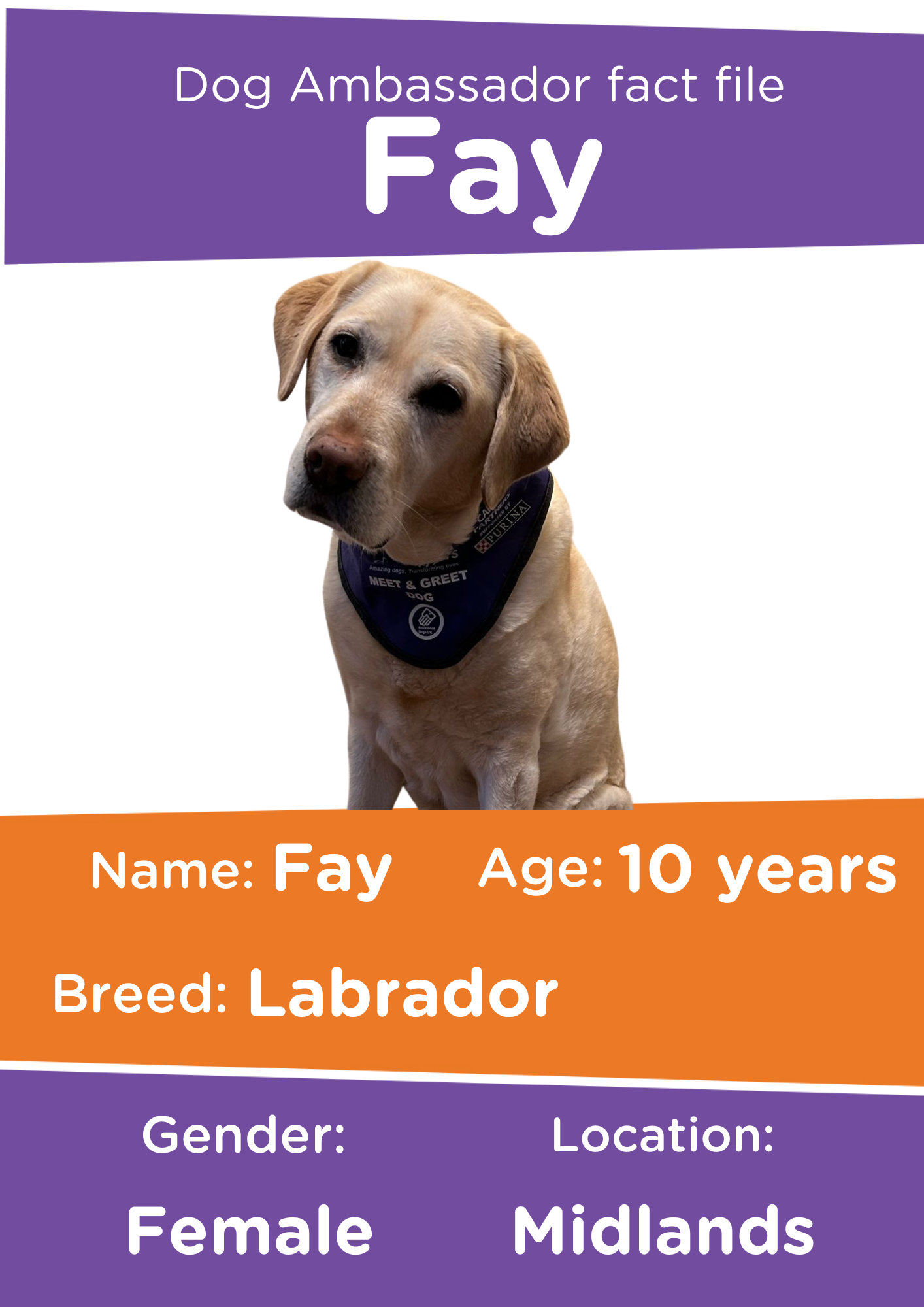 Dog ambassador fact files (5) - Canine Partners