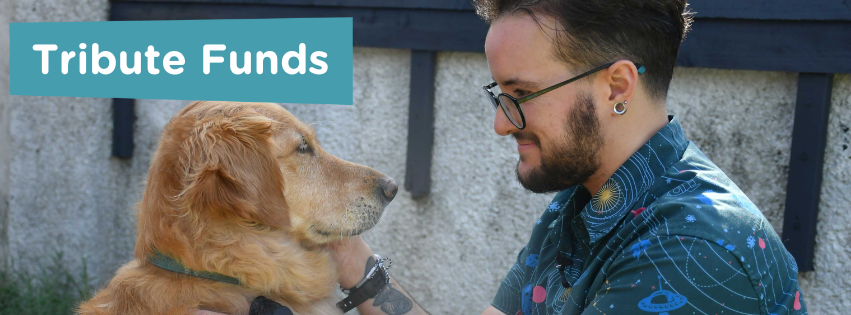 Tribute Funds - Canine Partners